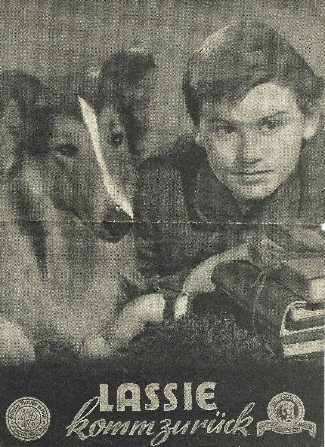 Lassie komm zurück Lassie komm zurück